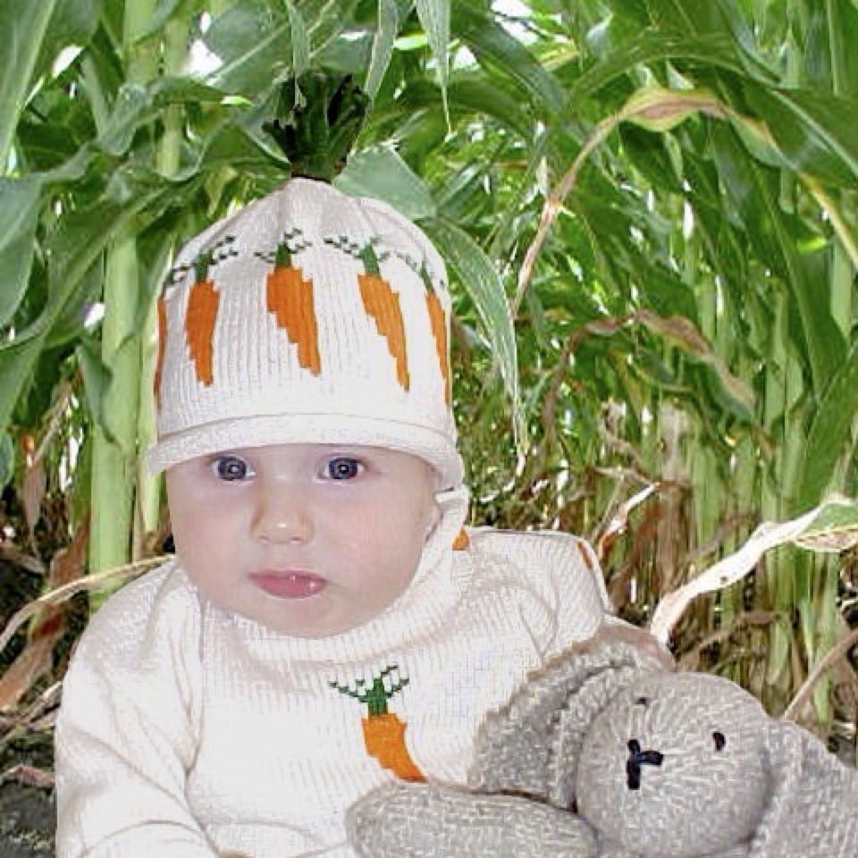 Carrot Sweater | Fleece On Earth 19 Holden Road N. Chittenden,VT 05763 ...